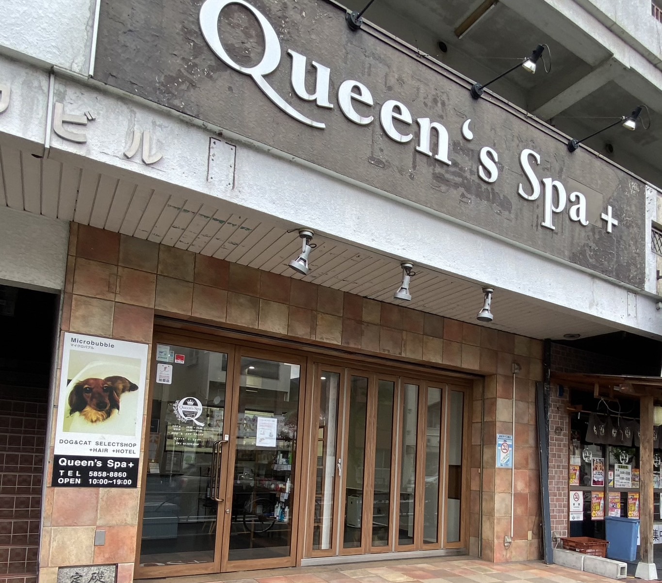 江東区でトリミングならQueen's Spa | 丁寧な接客と上質な施術をご提供